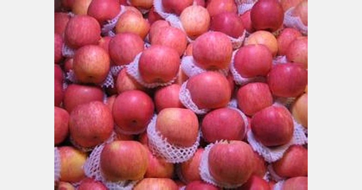 Sudden demand for Chinese apples