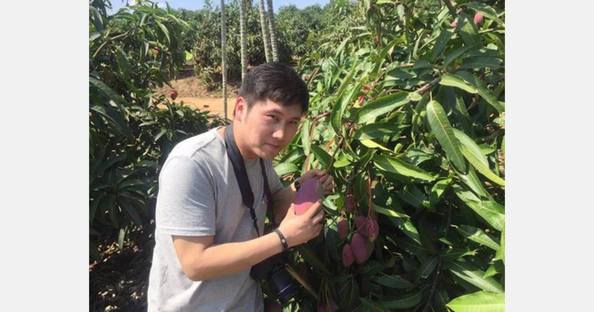 China: Hainan Royal mango enjoys exclusive honor