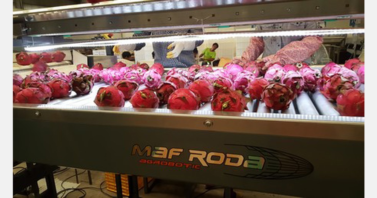 MAF Roda launches first ever dragon fruit sorting line