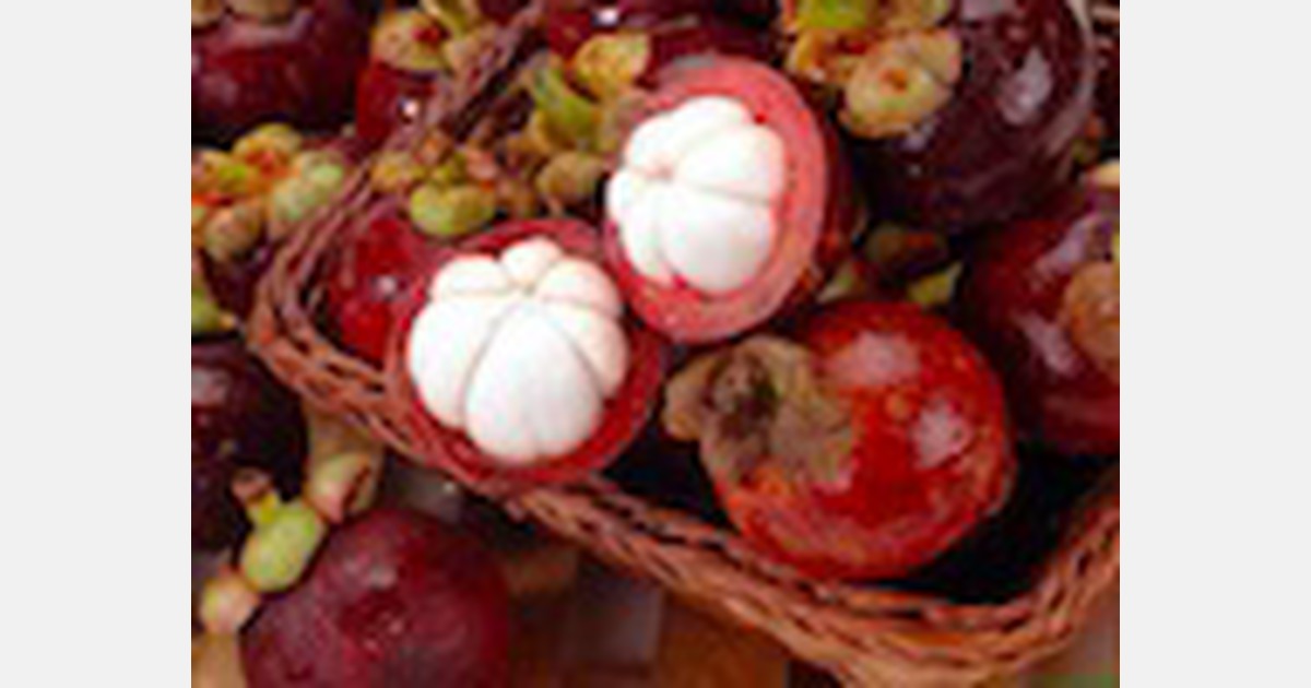 Fruits containing exallomochlus hispidus intercepted in the Wuxi Port