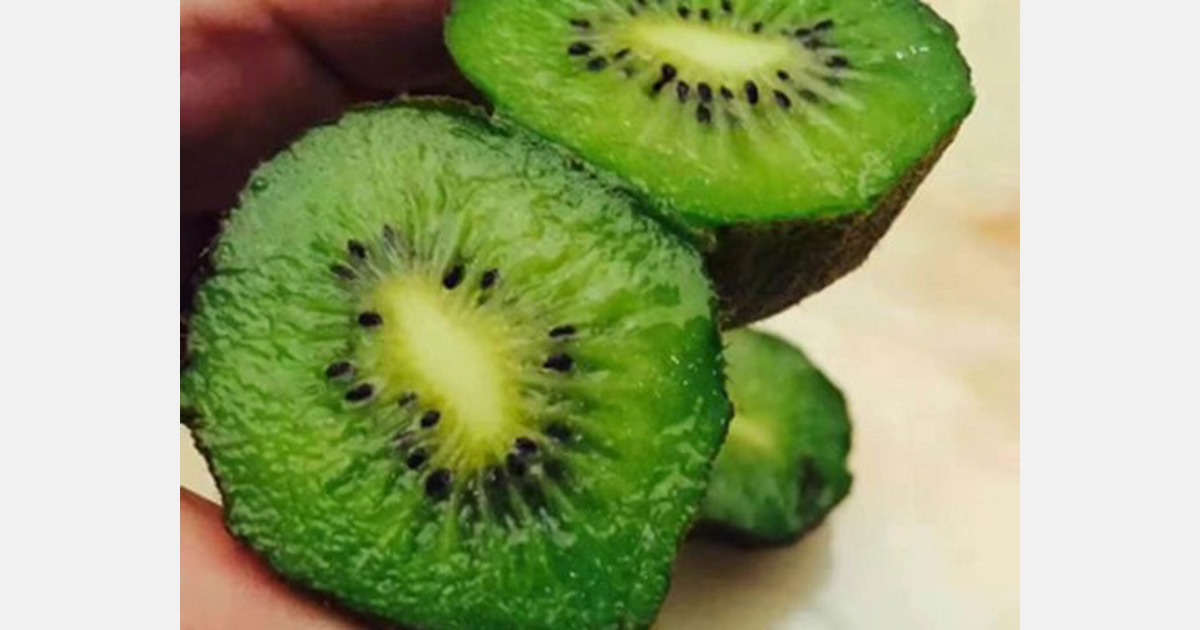 China: Guichang brand helps kiwifruit sales
