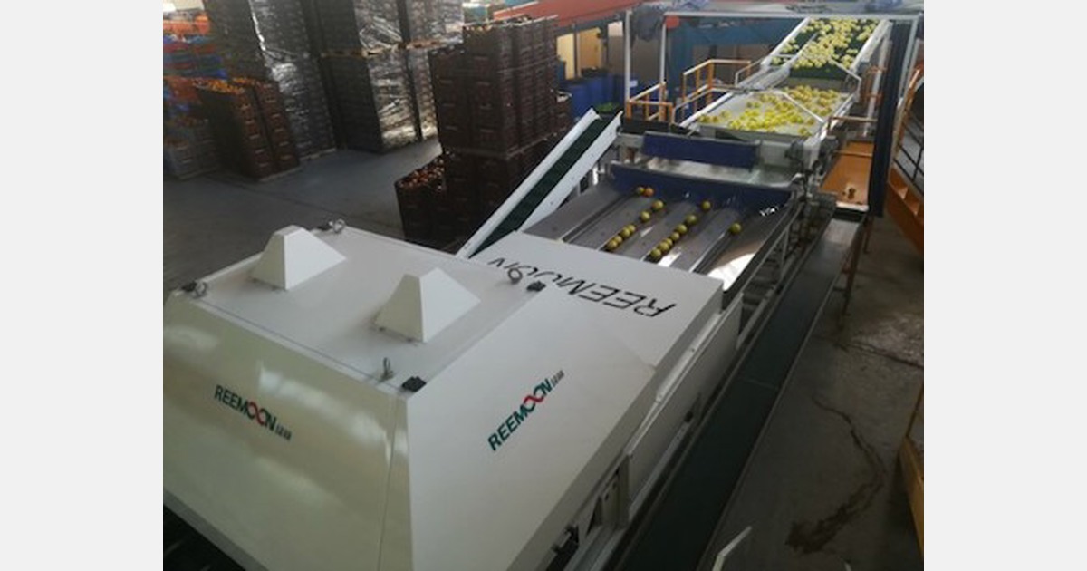 Reemoon expands its sorting line technology in the Mediterranean