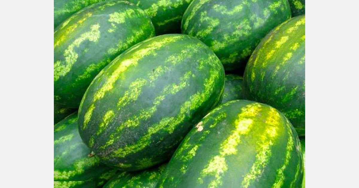 China swaps Vietnamese watermelons for fruit from Laos