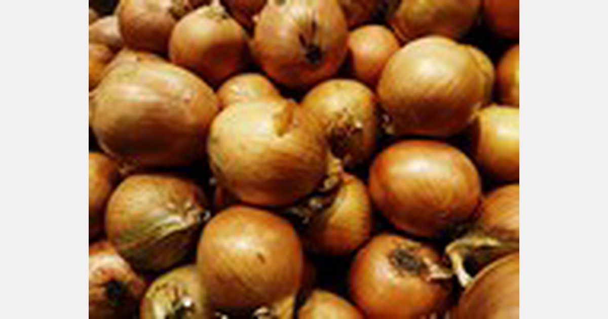 UK Border Force finds migrants in onion lorries at Port of Poole