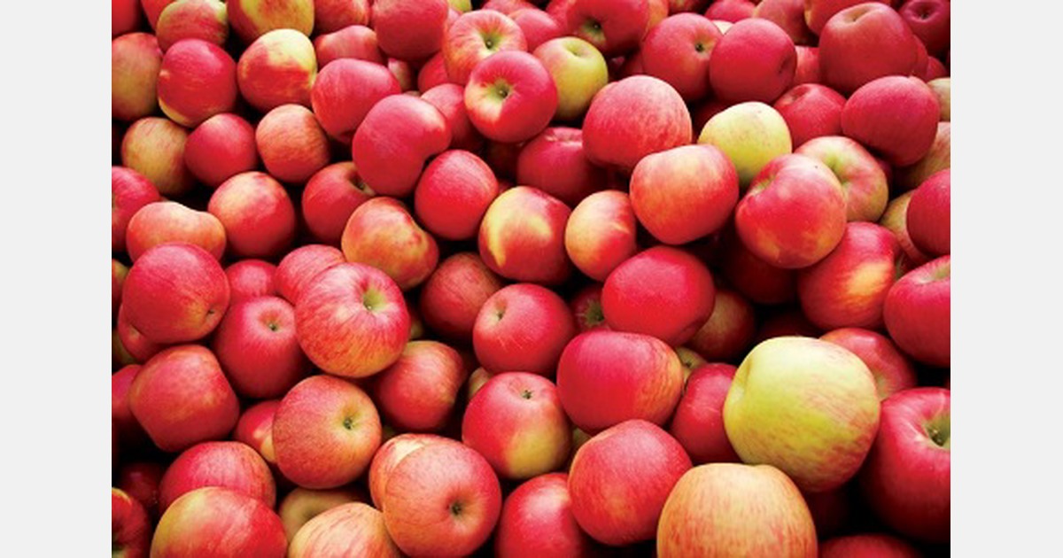 Large Far Eastern demand for Turkish apples