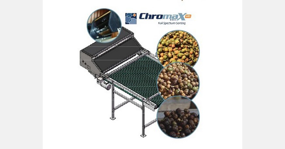 Demand For Walnut Sorting Is Growing