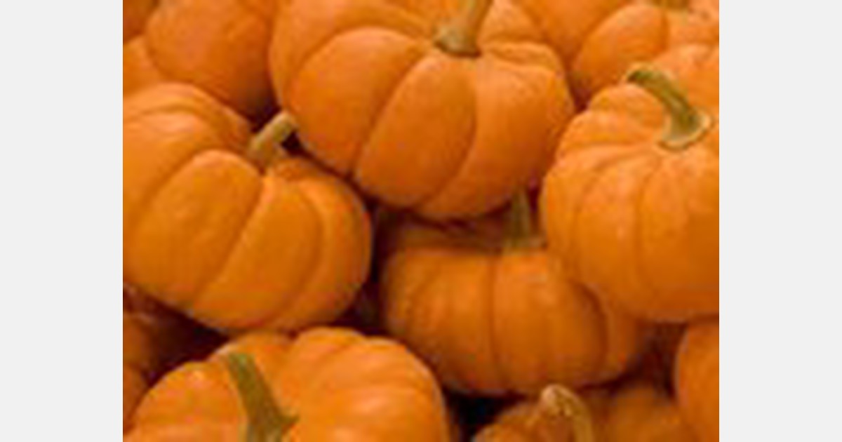 USDA report: Pumpkins - Background & Statistics