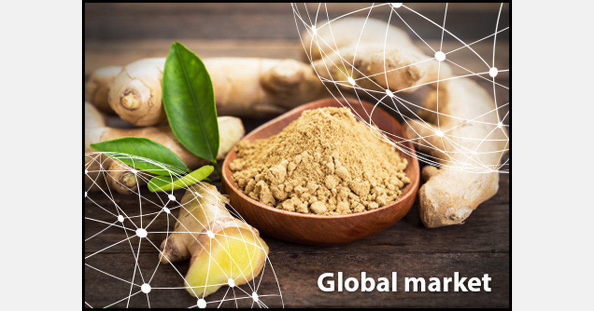 OVERVIEW GLOBAL GINGER MARKET