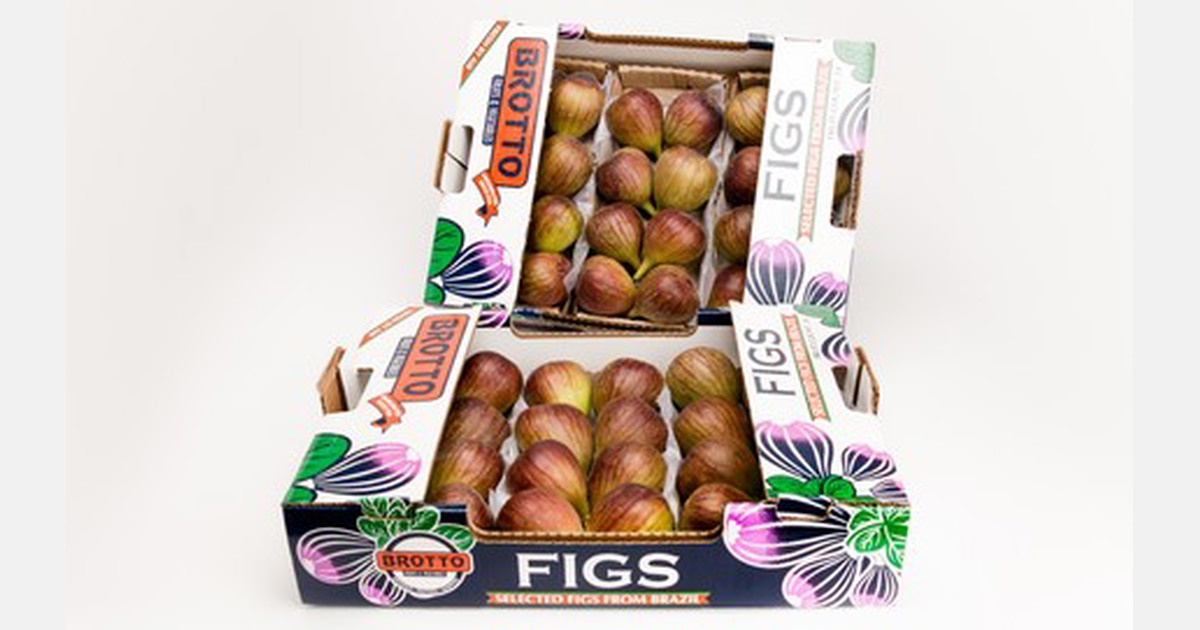 Brazil: Early start for Brazilian fig season
