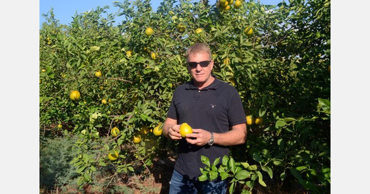 Orri is still Israel's main citrus export