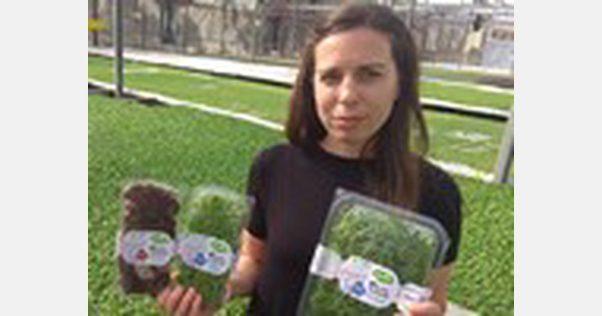 Focusing on the health benefits of Micro Leaves