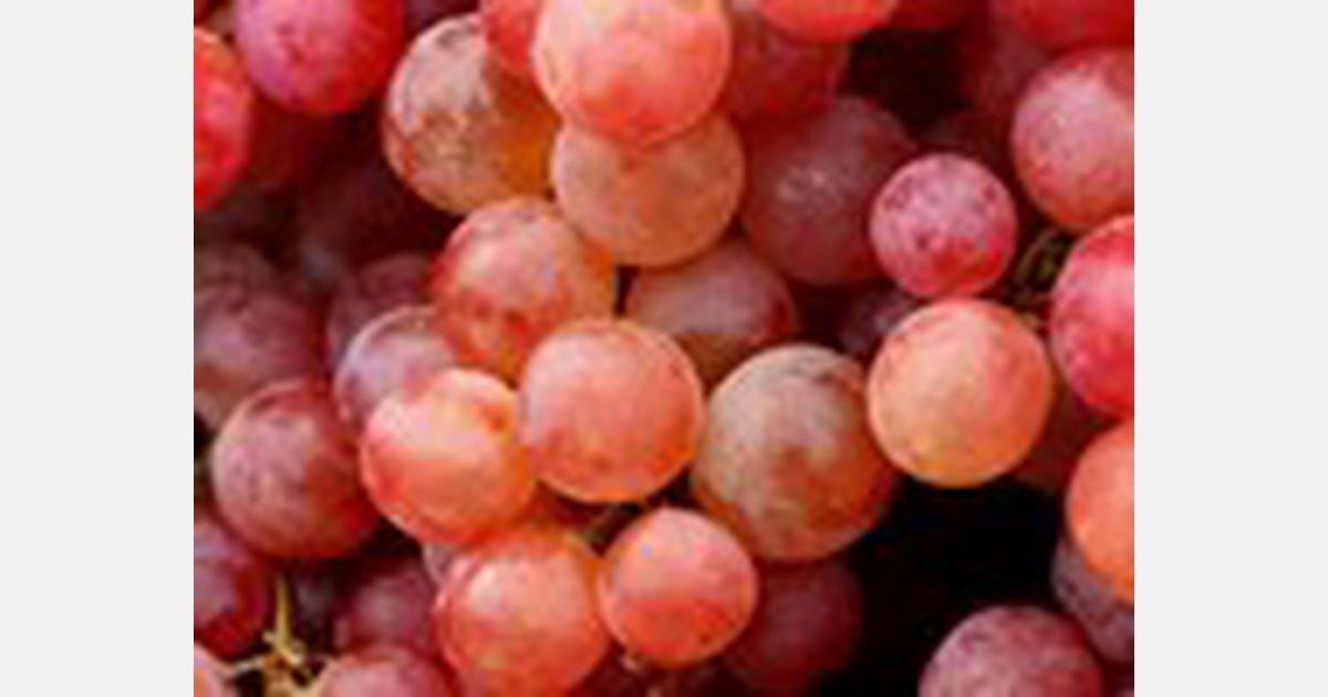 US: "Slow transition to imported grapes due to large local supply"