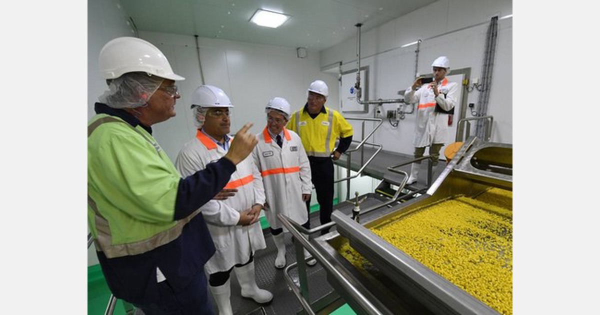 Demand from Woolworths and Coles spurs Simplot's processing plant volumes