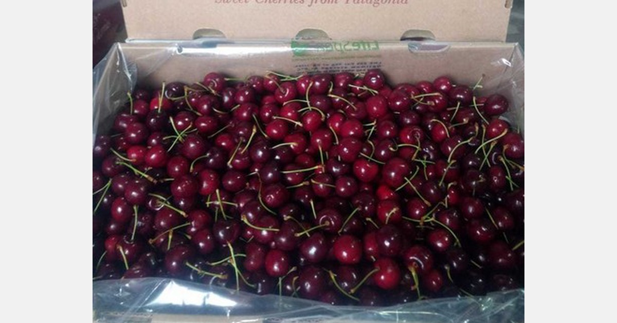 US importers seeing the end of Chilean cherry import season