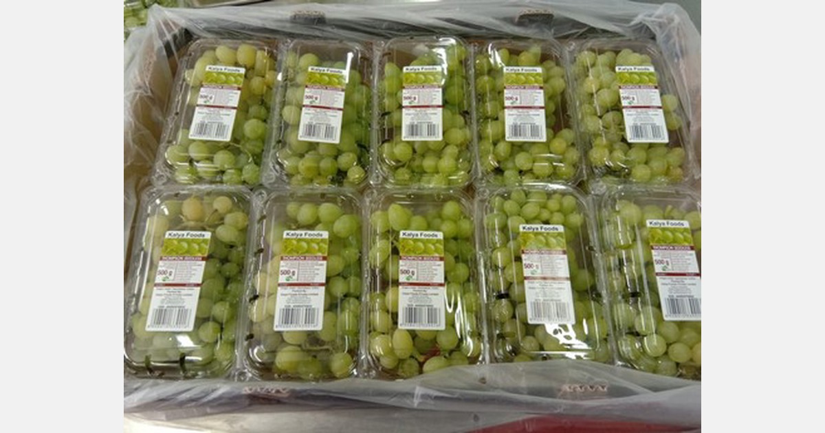 “The Indian grape market is stable now and should remain so”