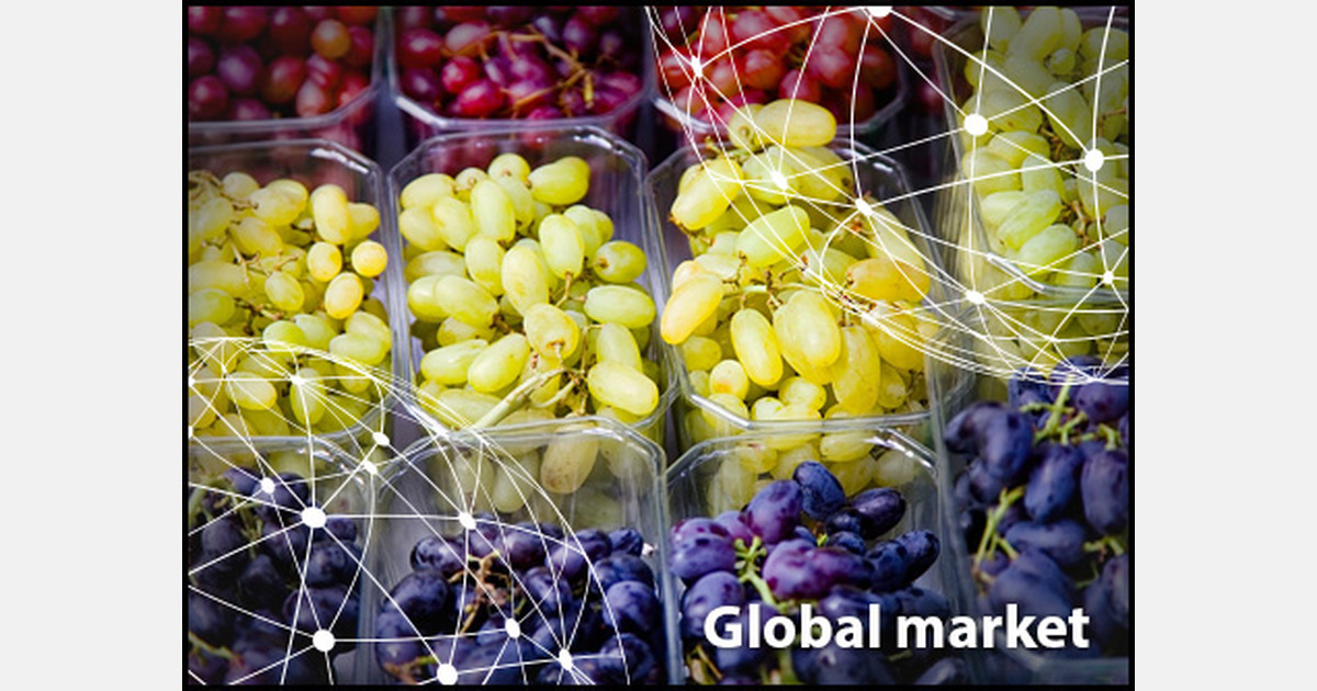 OVERVIEW GLOBAL TABLE GRAPE MARKET