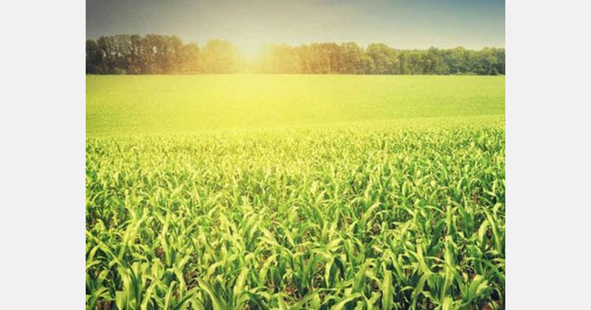 UPL completes acquisition of Arysta