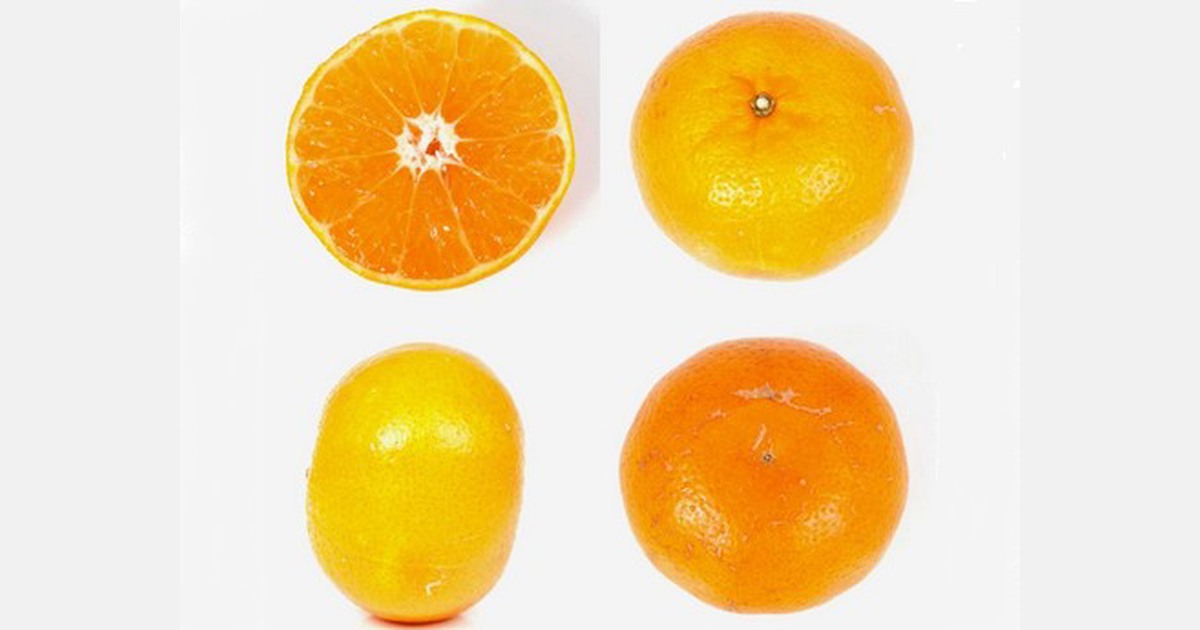 New mandarin variety that stays longer on trees