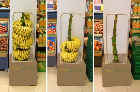 banana display