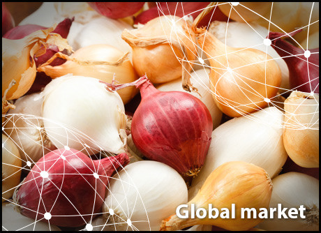 OVERVIEW GLOBAL ONION MARKET