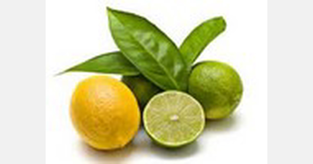 Mexico citrus production expected to increase