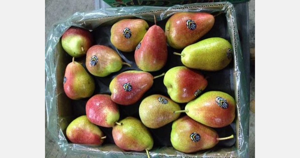 South African pears in Canada