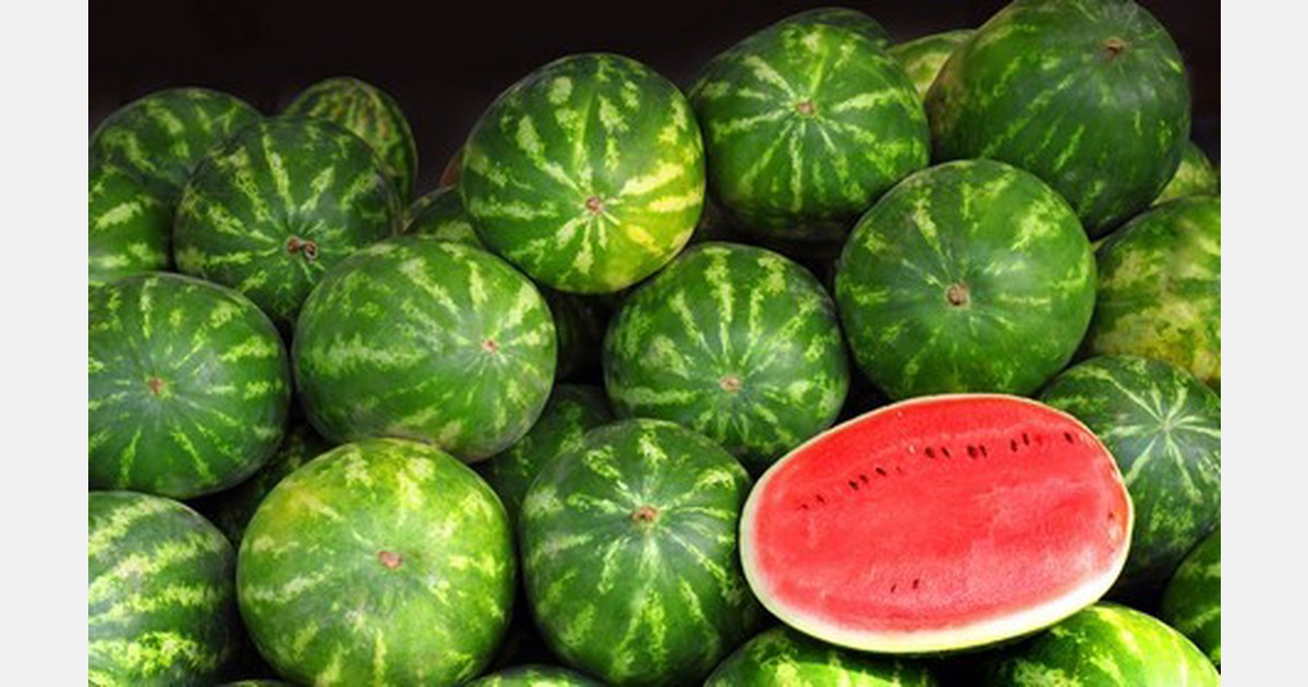 Heavy imported watermelon supplies to cause drop in the market