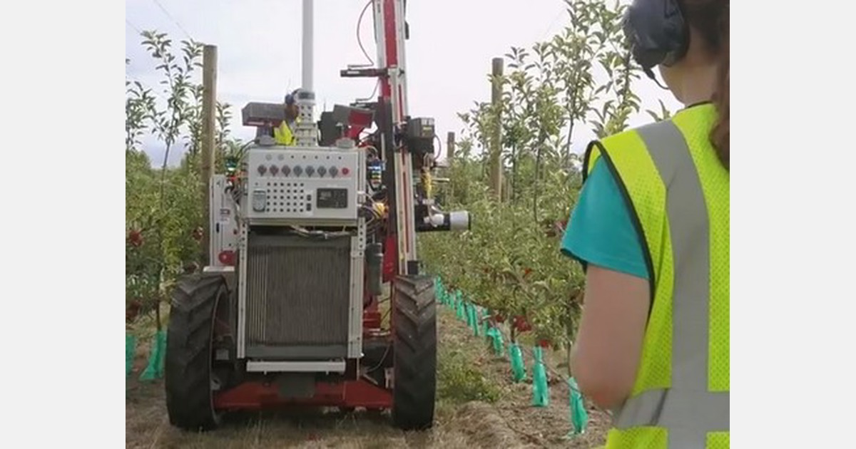 New Zealand: World-first robotic apple picker could help labour shortage