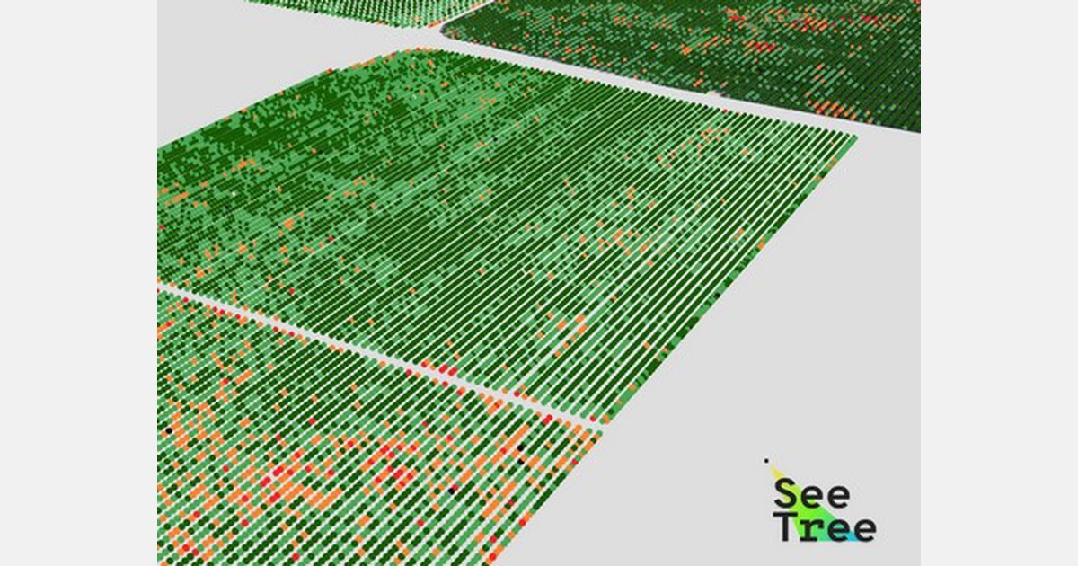 Israelis launch intelligence network for trees