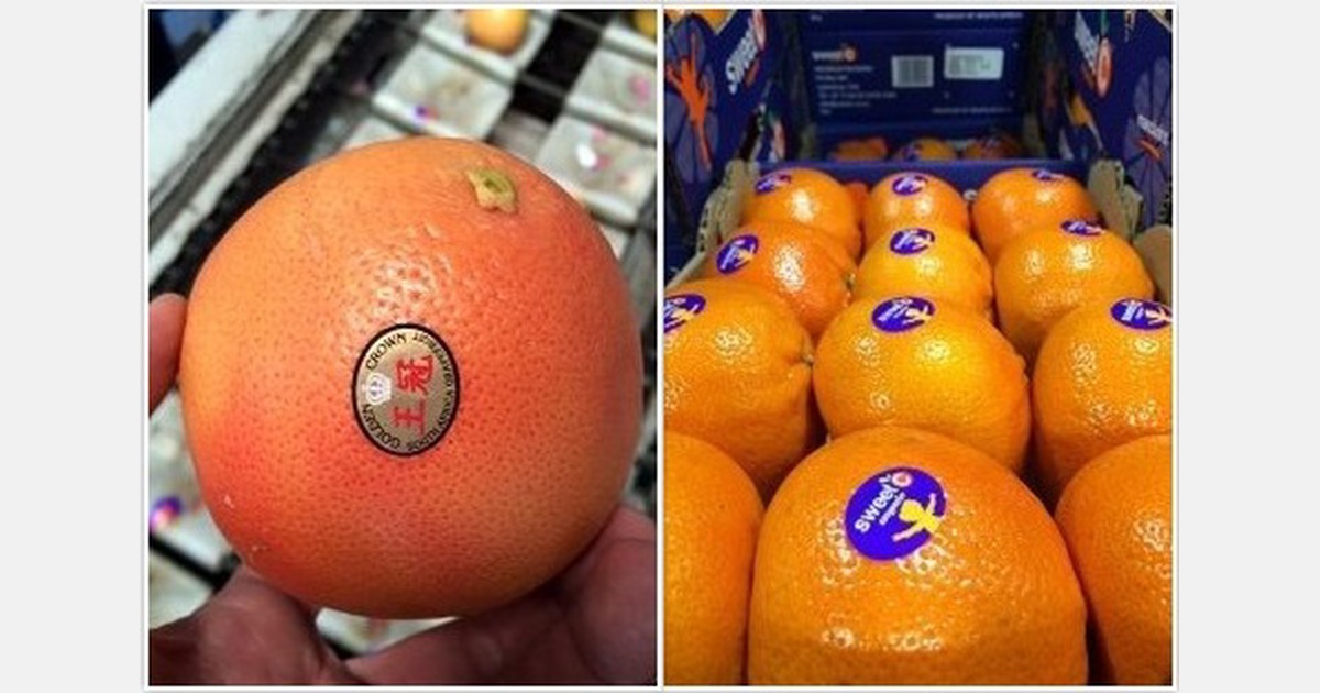 Fruit Label Pro offers compostable fruit labels to South African industry