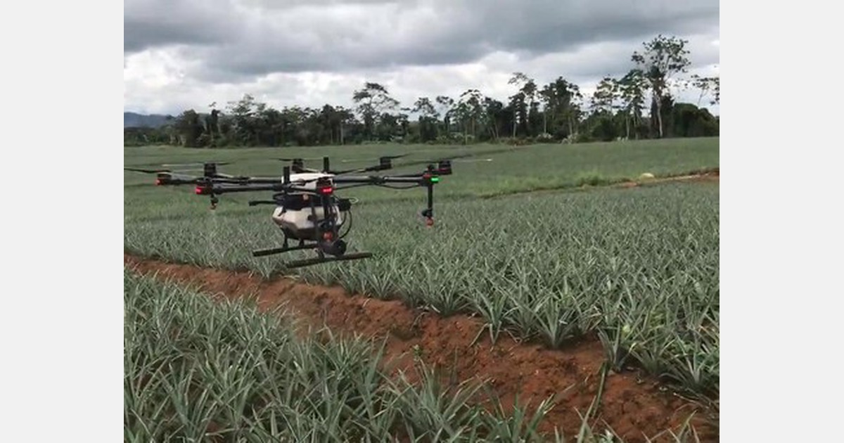 Ghana: Drones in farming