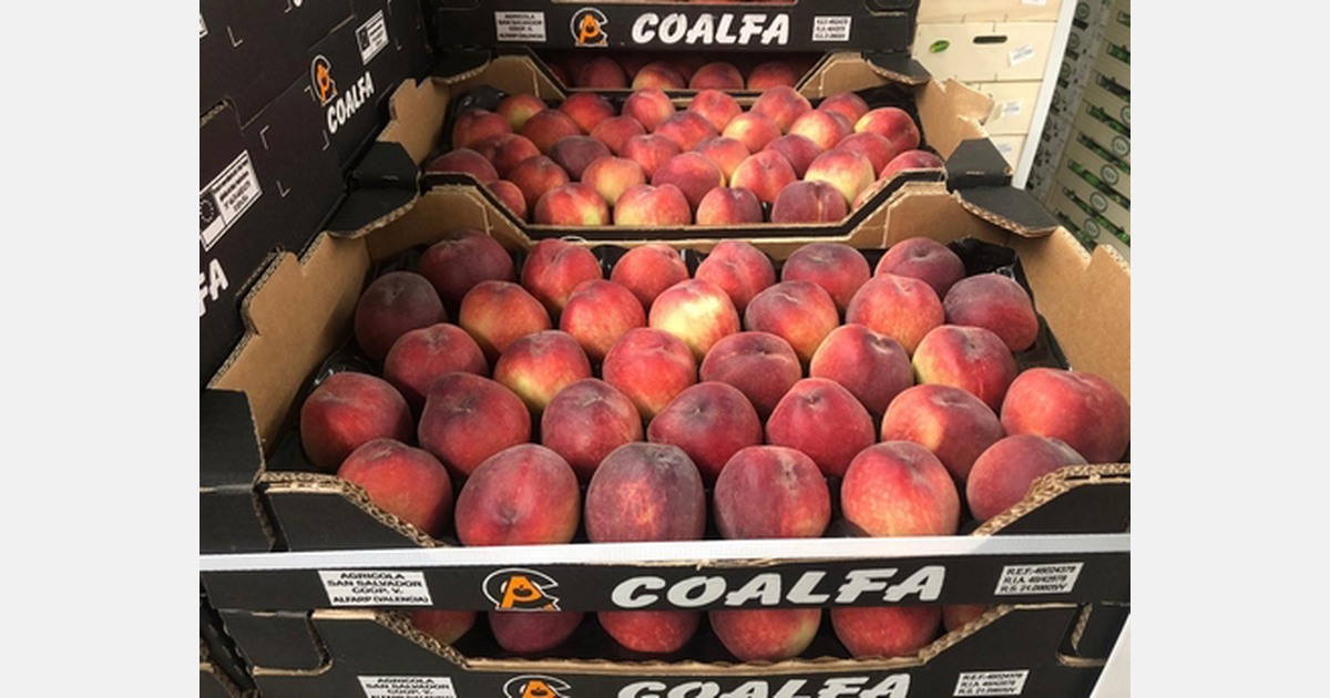 Limited volumes of early Spanish peaches