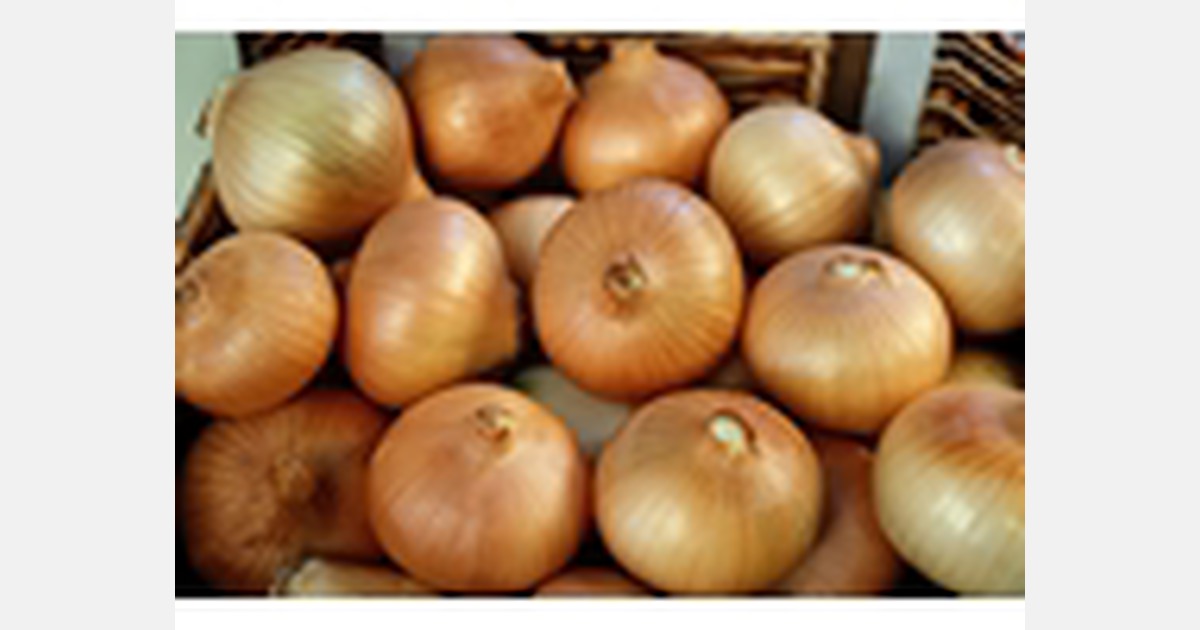 New Zealand onions well received in short EU market