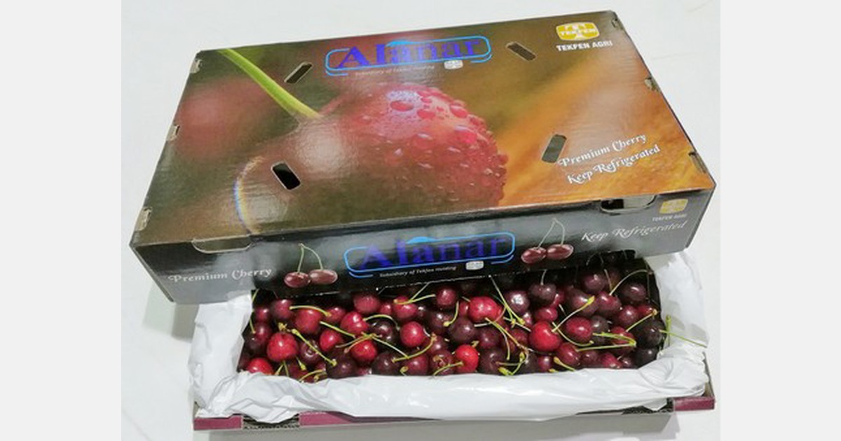 “Our Turkish cherries could fill the gap in China that the US left behind”