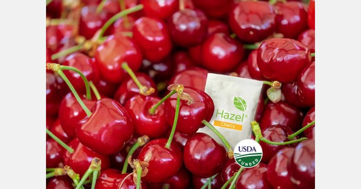 Shelf-life extension technology for cherries launched in US
