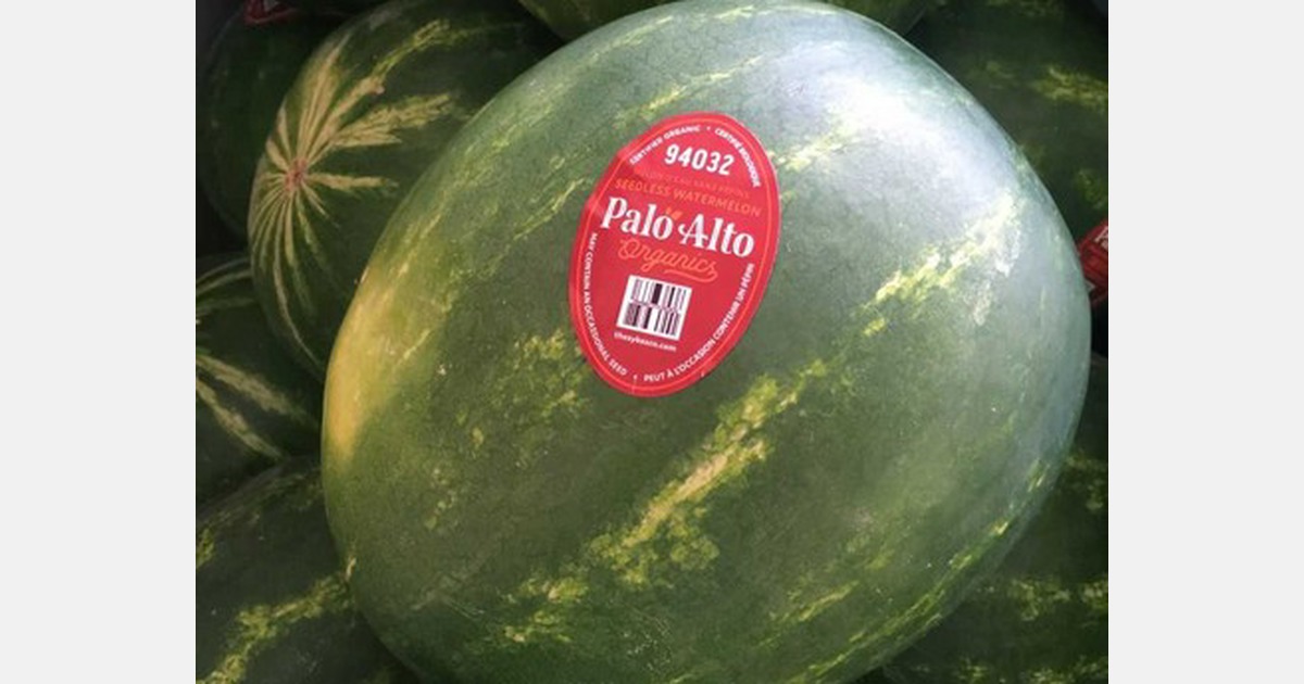 Nogales shipper now offering organic watermelons