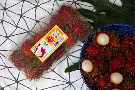 First rambutan shipments for the season arriving soon in Florida