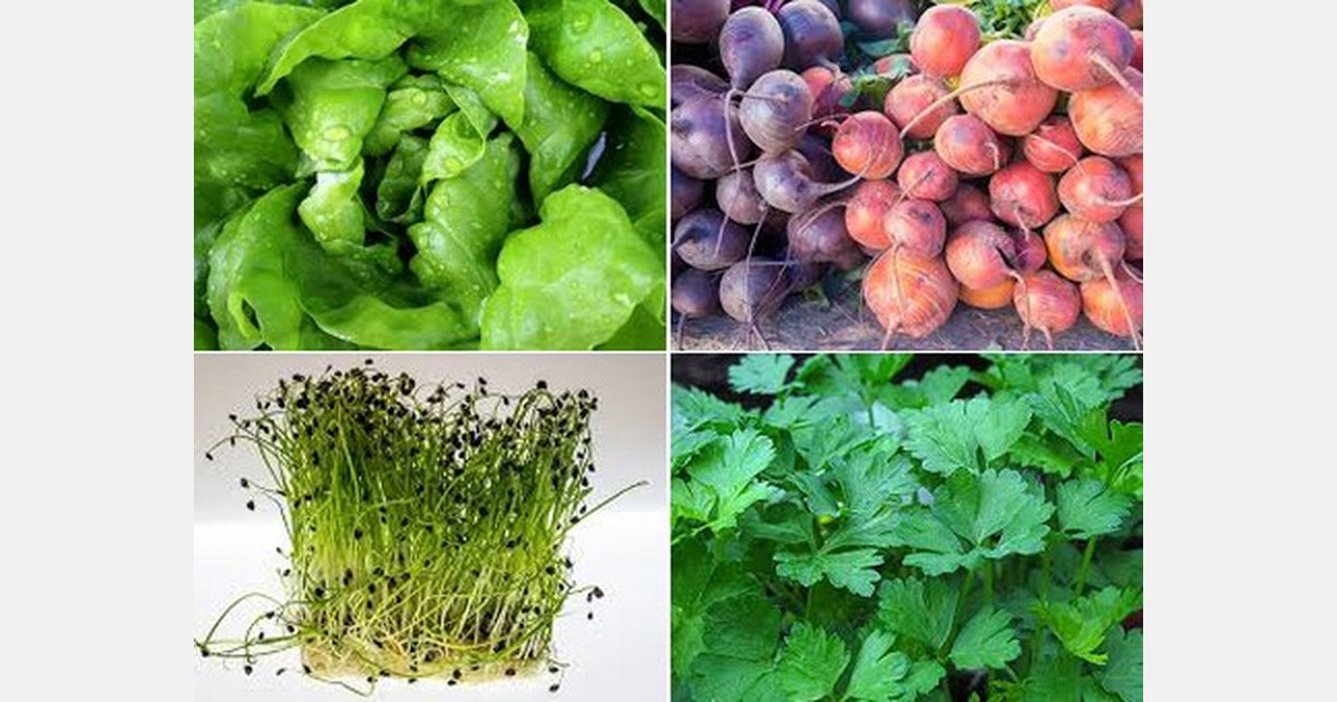 These vegetables help to improve muscle mass