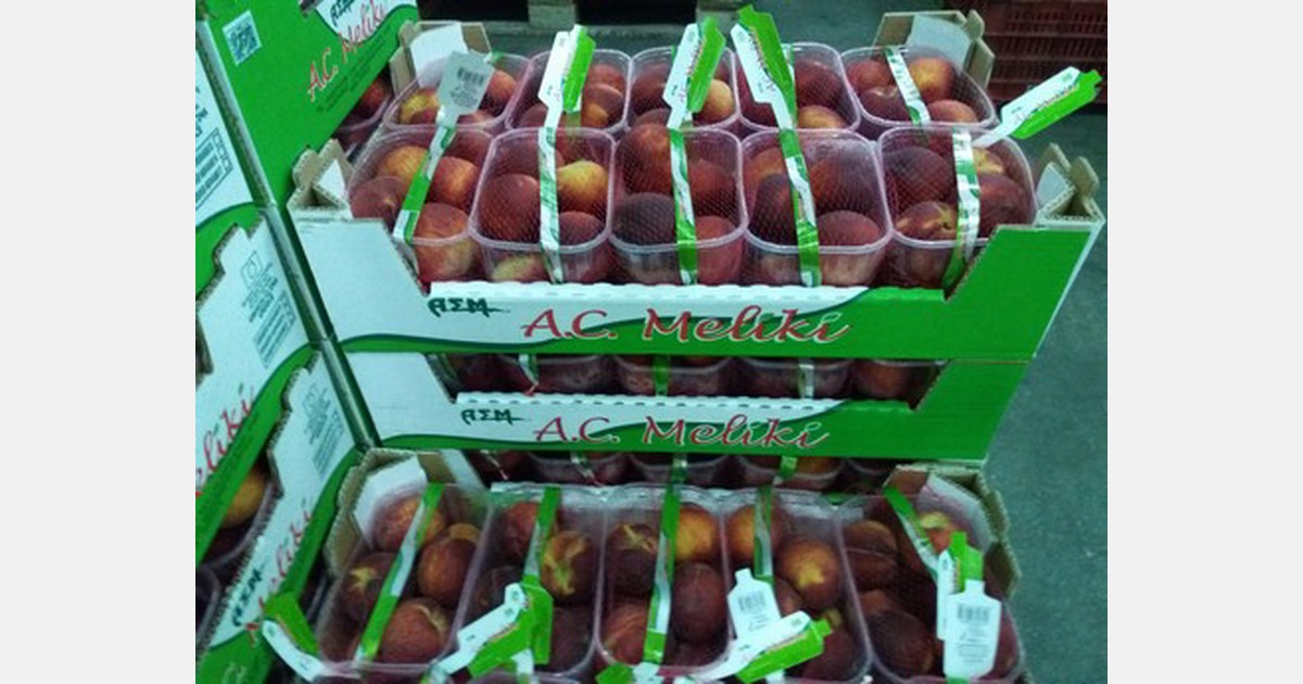 Greek peach season starting, large yield expected thanks to cold winter