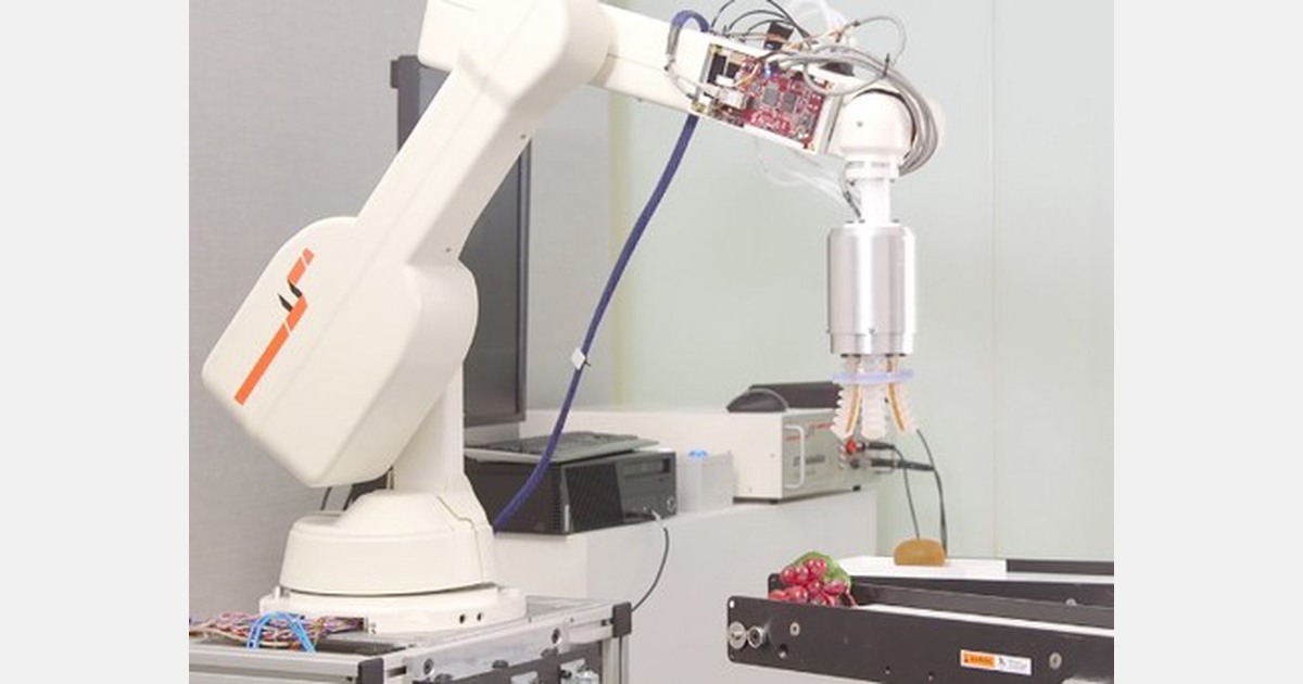 Hank, the robot that can grab grapes