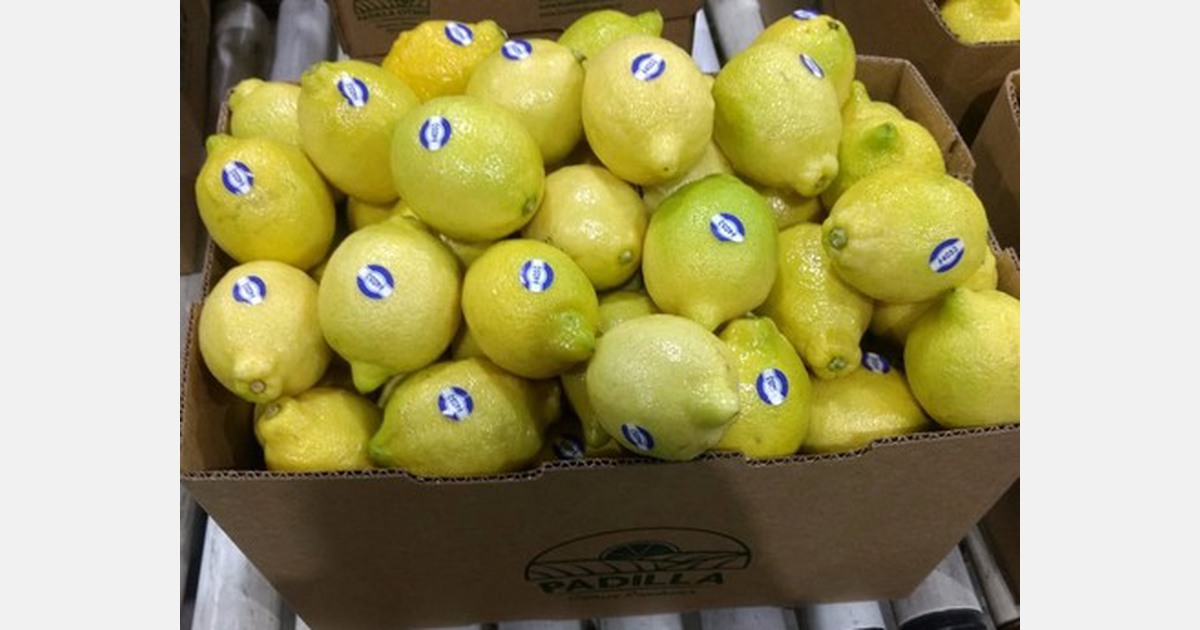 Ample lemons from domestic and import growers in 2019