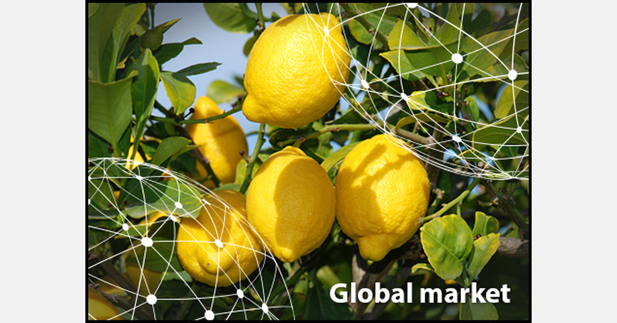 OVERVIEW GLOBAL LEMON MARKET