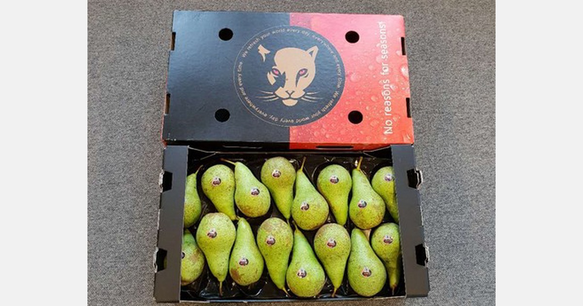 China is a growing market for Dutch Conference pears