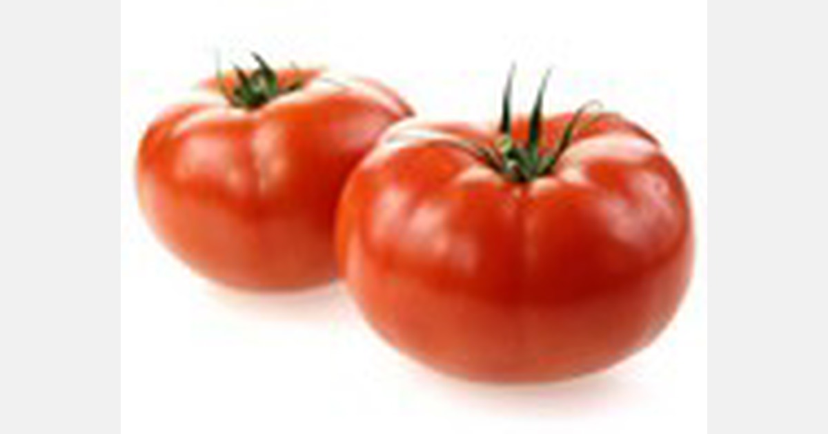 Prices of Ukrainian tomatoes dropping