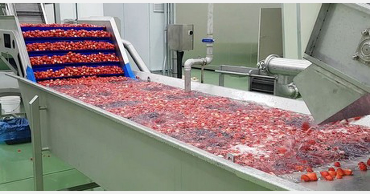 "Key to successful IQF berry processing is efficient equipment"