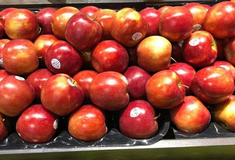 Ontario apple orchards entering bloom