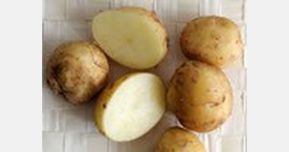 France: La Bonnotte potatoes at $860 a kilo