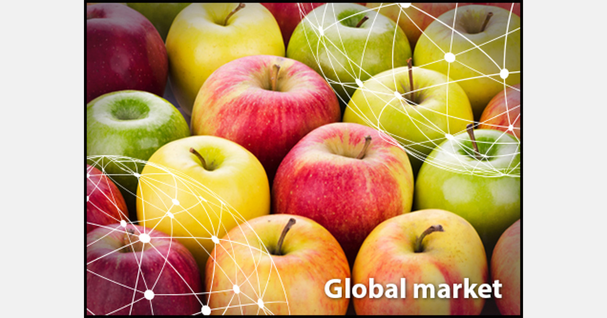 OVERVIEW GLOBAL APPLE MARKET