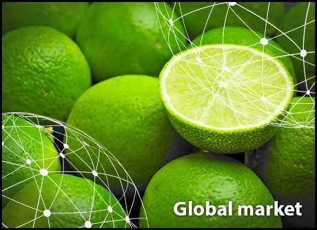 OVERVIEW GLOBAL LIME MARKET