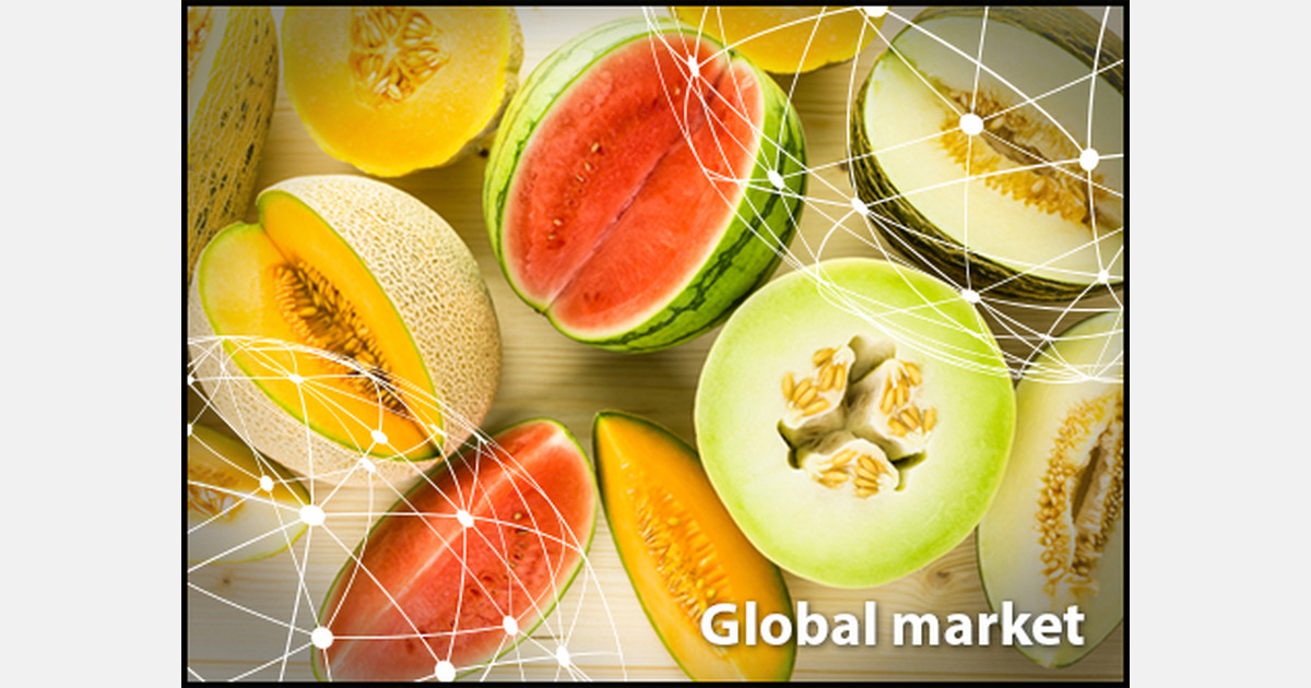 OVERVIEW GLOBAL MELON AND WATERMELON MARKET